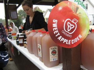 Wellesley ABC Festival