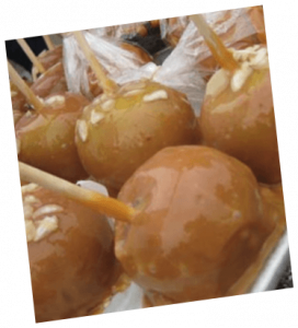 Wellesley ABC Festival