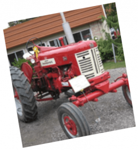 Wellesley ABC Festival